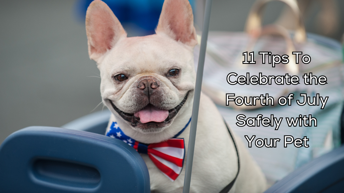 11 Tips To Celebrate the Fourth of July Safely with Your Pet – A Better ...