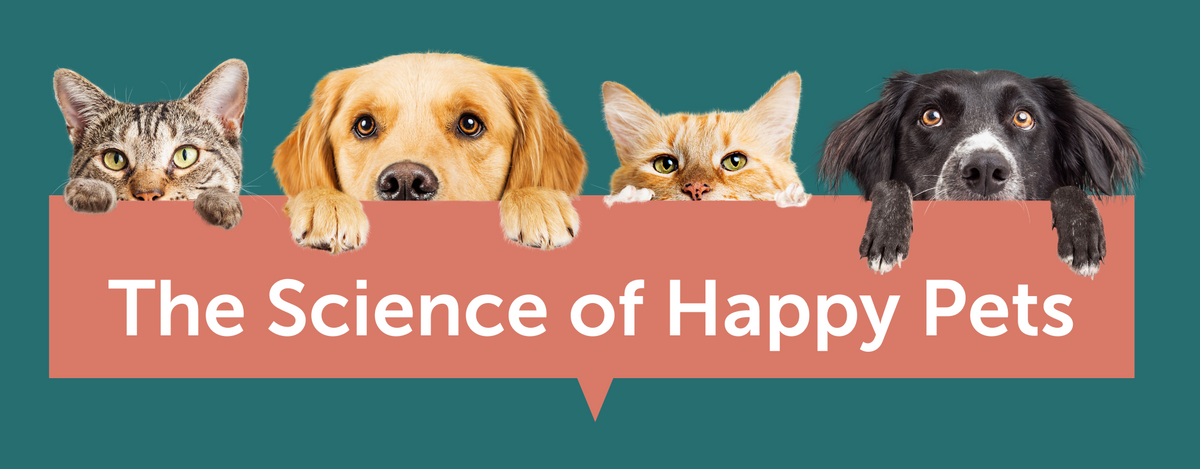 The Science of Happy Pets: Mood-Boosting Ingredients in A Better Treat