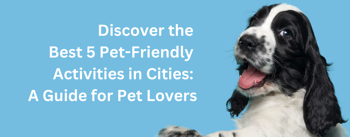 Discover the Best 5 Pet-Friendly Activities in Cities: A Guide for Pet ...