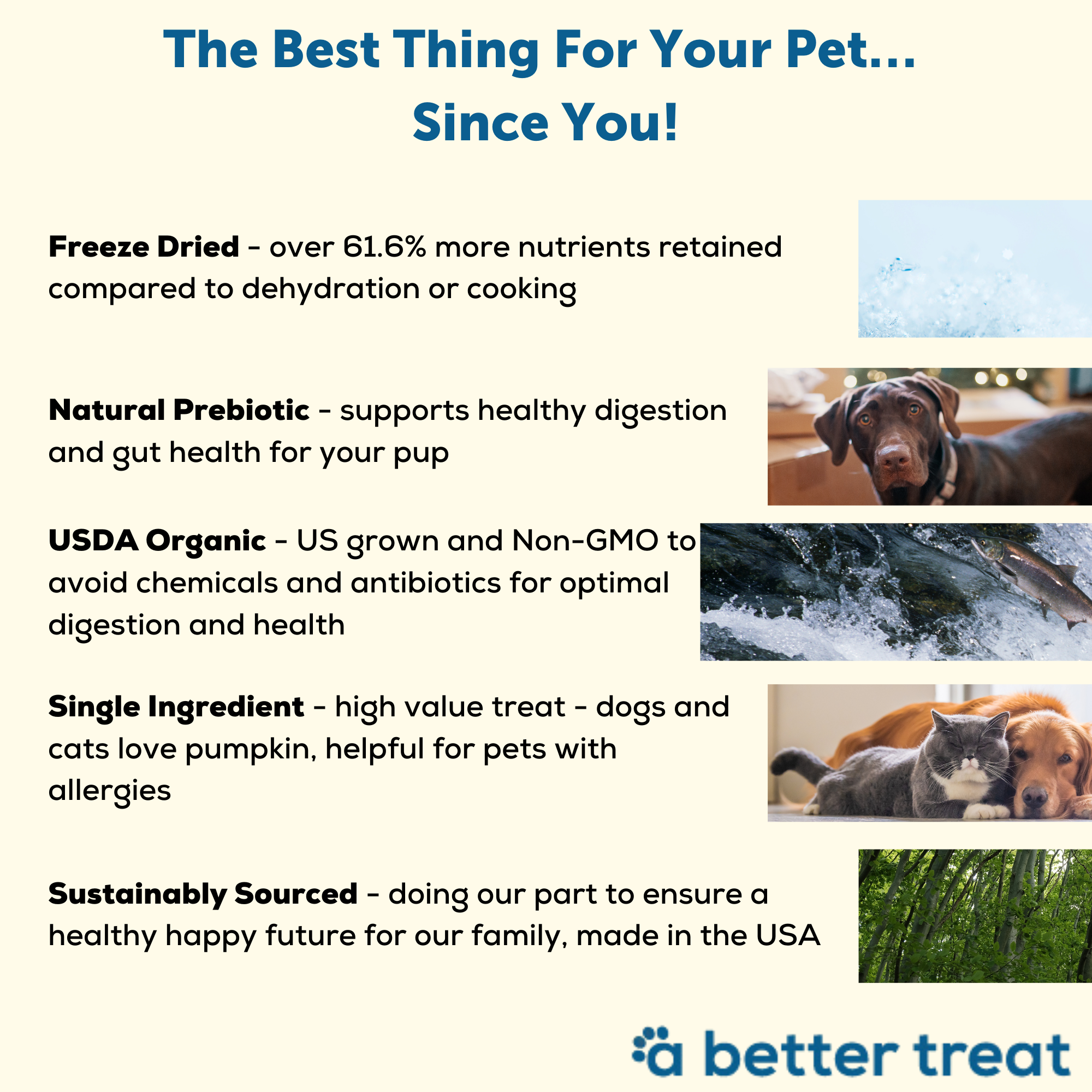 A Better Treat - Freeze Dried Raw USDA Organic Pumpkin Dog and Cat Treats