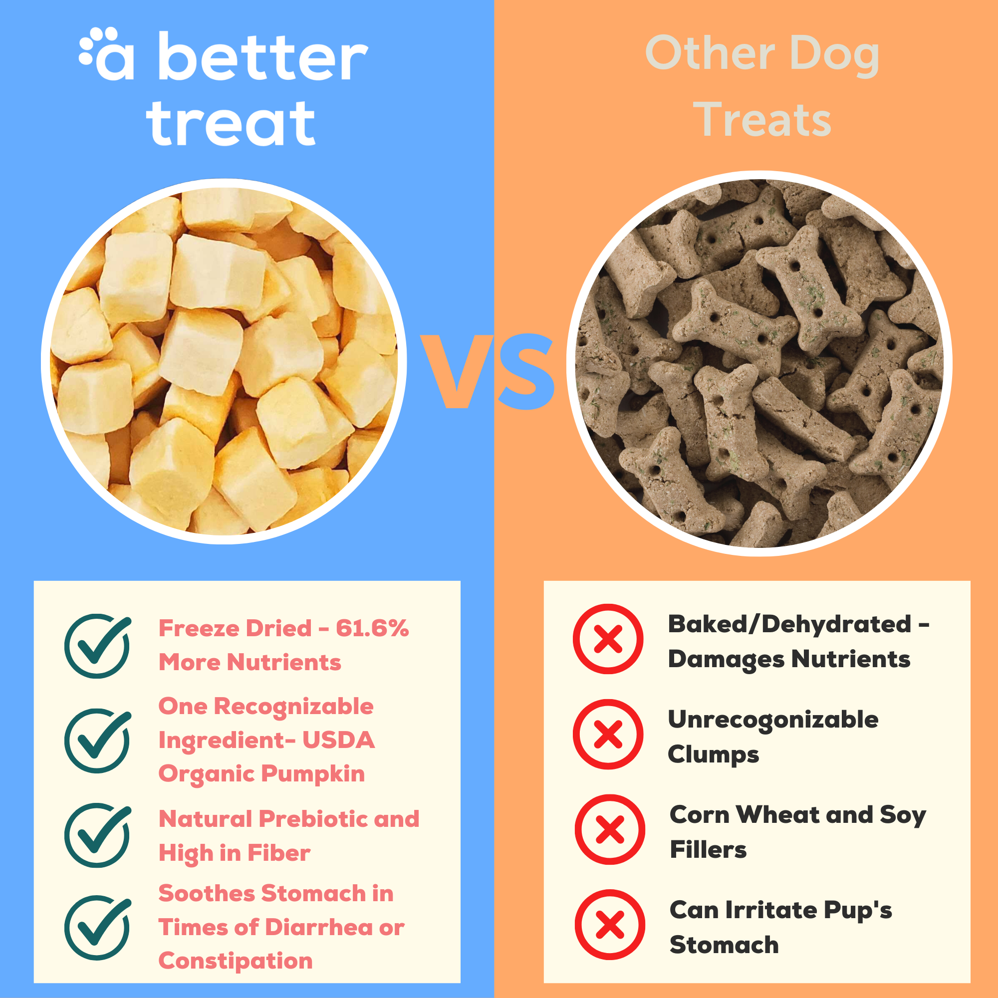 A Better Treat - Freeze Dried Raw USDA Organic Pumpkin Dog and Cat Treats